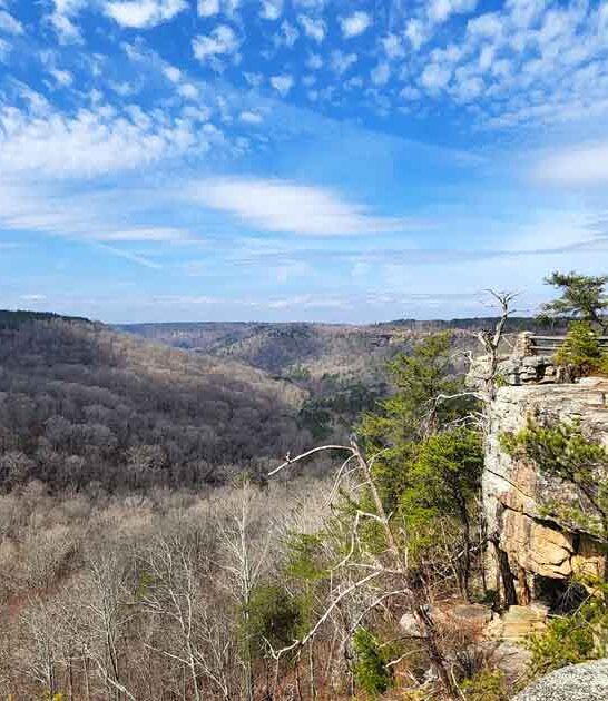 remote state park alabama ftr