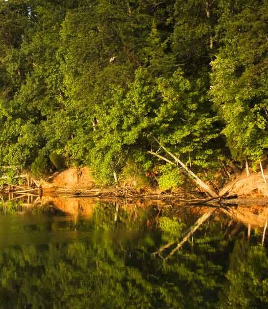 You Can Rent This Entire Island In North Carolina For Just $255 Per Night