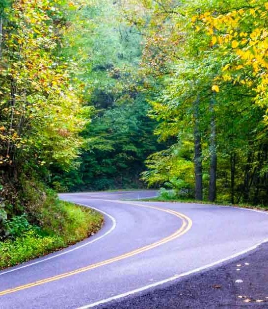 roads beautiful north carolina ftr