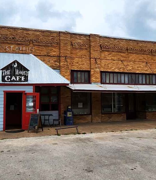 rooster quirky cafe texas ftr