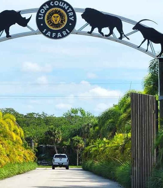safari florida drive thru ftr