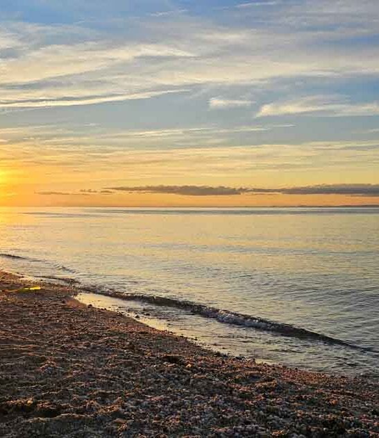 scenic beach new york ftr