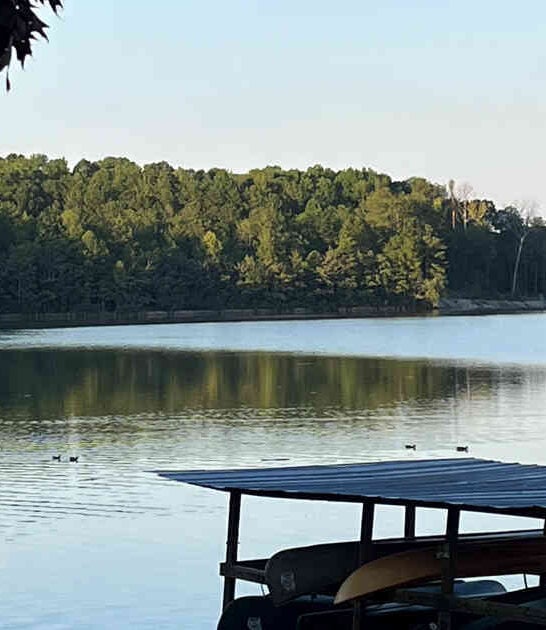 scenic georgia park bucket ftr