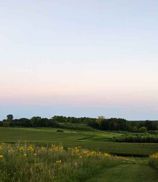 scenic minnesota park unforgettable ftr