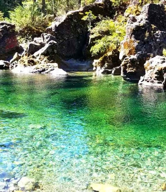 scenic river swimming oregon ftr