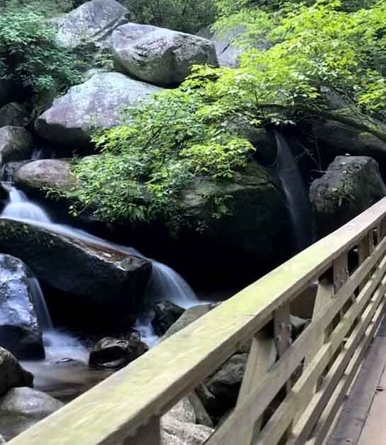 secluded north carolina park ftr