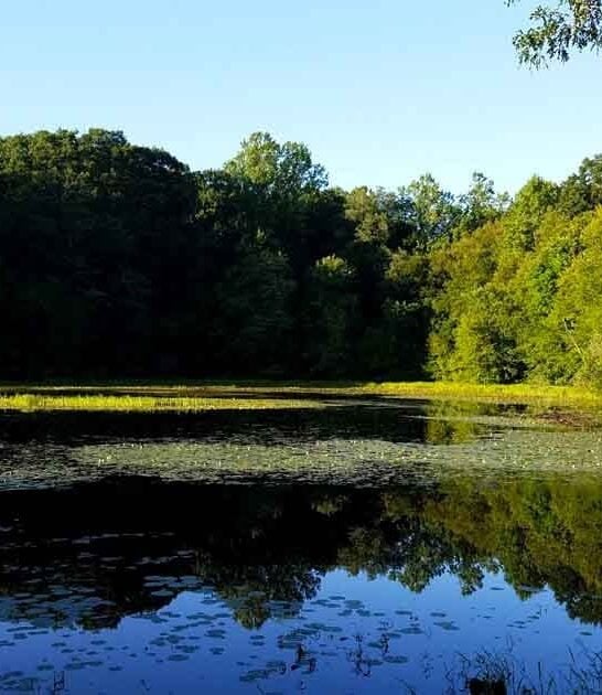 secret connecticut nature park ftr
