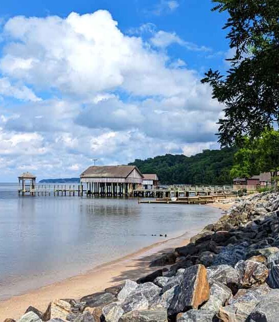 secret fossil beach virginia ftr