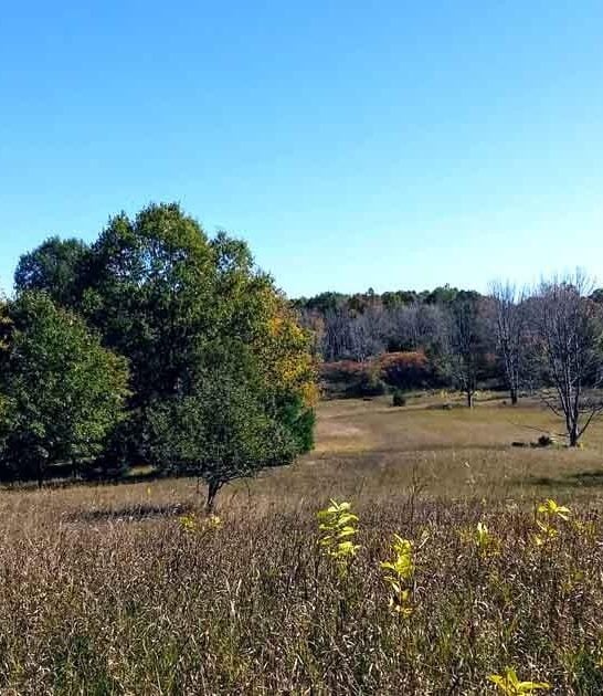secret michigan state parks ftr