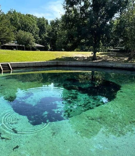secret natural spring alabama ftr