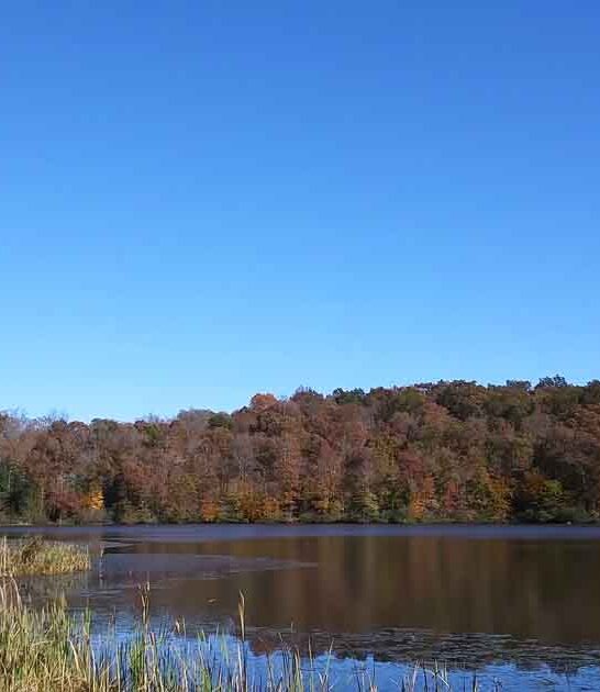 secret nature preserve kentucky ftr