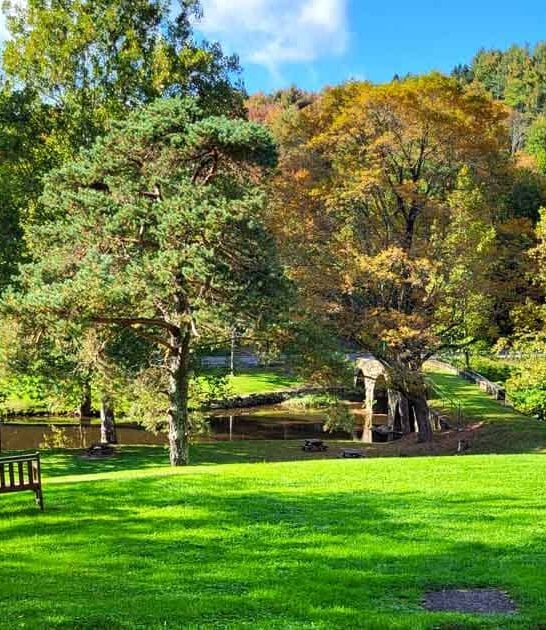 secret park new york ftr