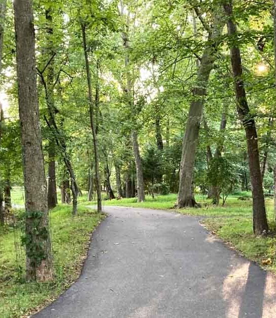 short maryland loop trail ftr