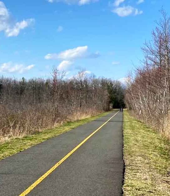 silky smooth massachusetts trail ftr