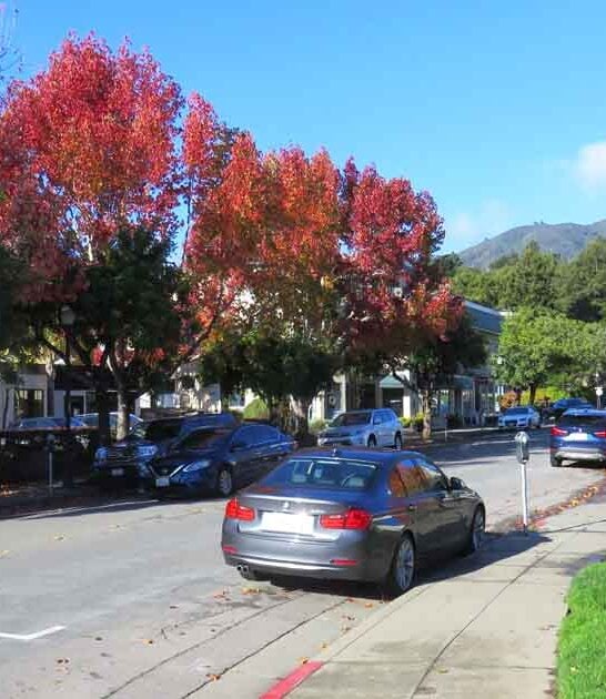 small california town peaceful ftr