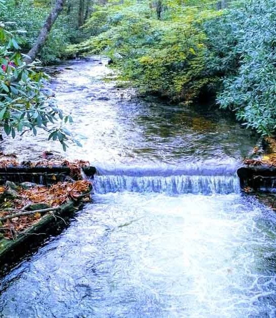 smallest state park pennsylvania ftr