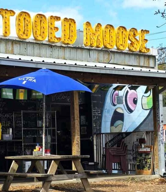south carolina burger trip ftr