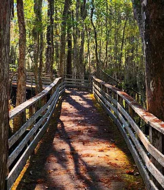 south carolina fairy tale ftr