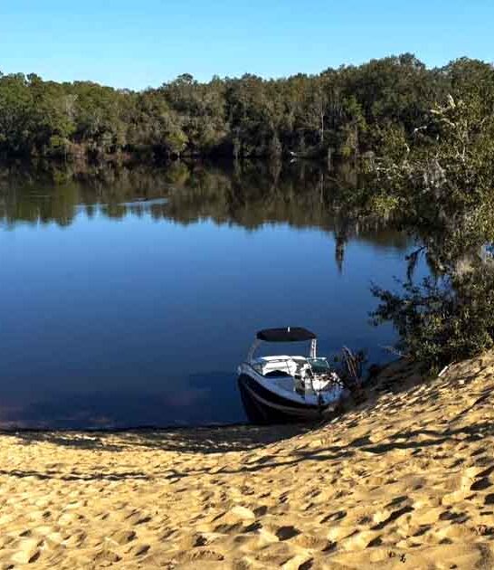 south carolina island away ftr