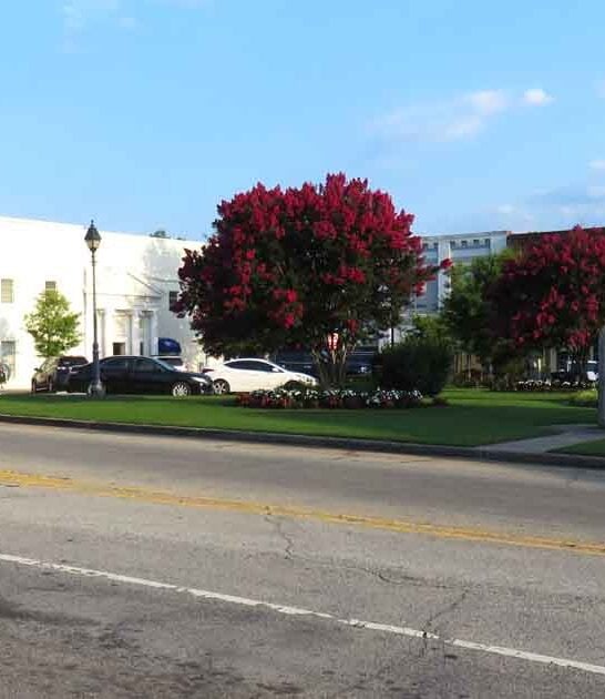 south carolina town live ftr