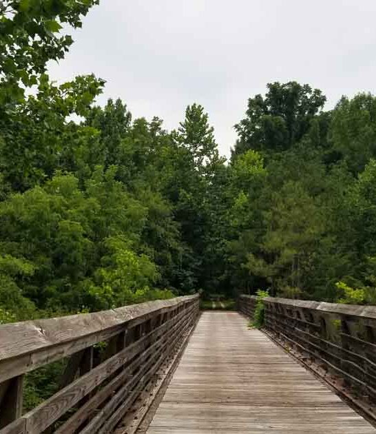 south carolina trail magical ftr