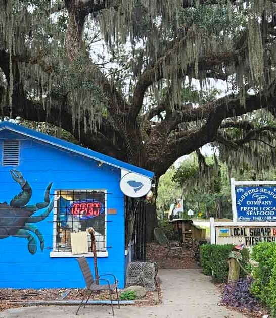 south carolina unsuspecting seafood ftr