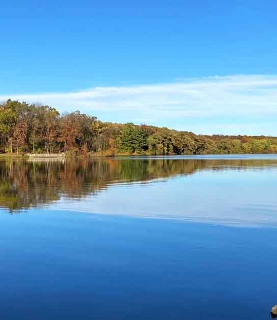 spectacular illinois park status ftr