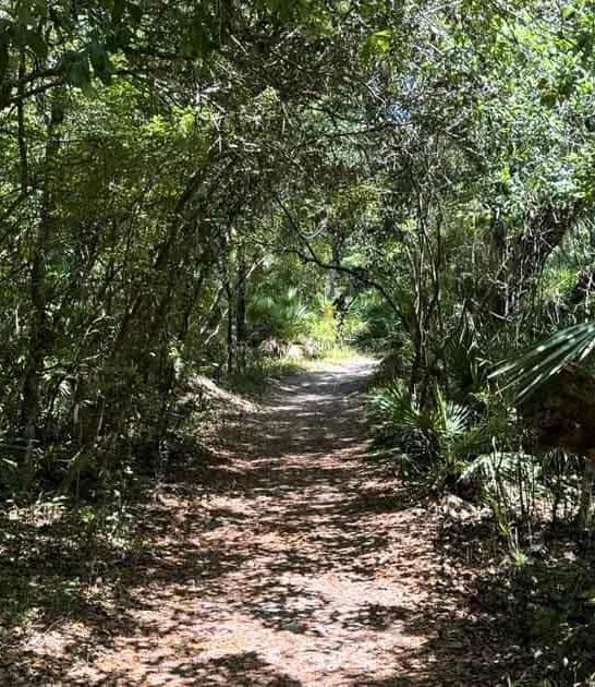 spectacular river trail florida ftr