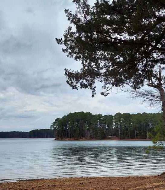 spectacular south carolina park ftr