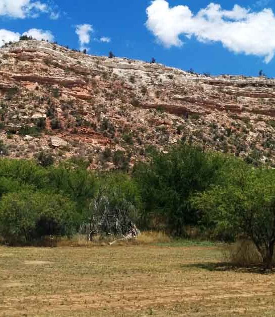 state park arizona ftr