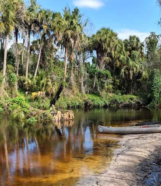 state park florida escape ftr