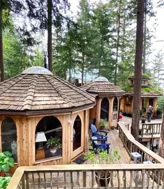 storybook forest house washington ftr