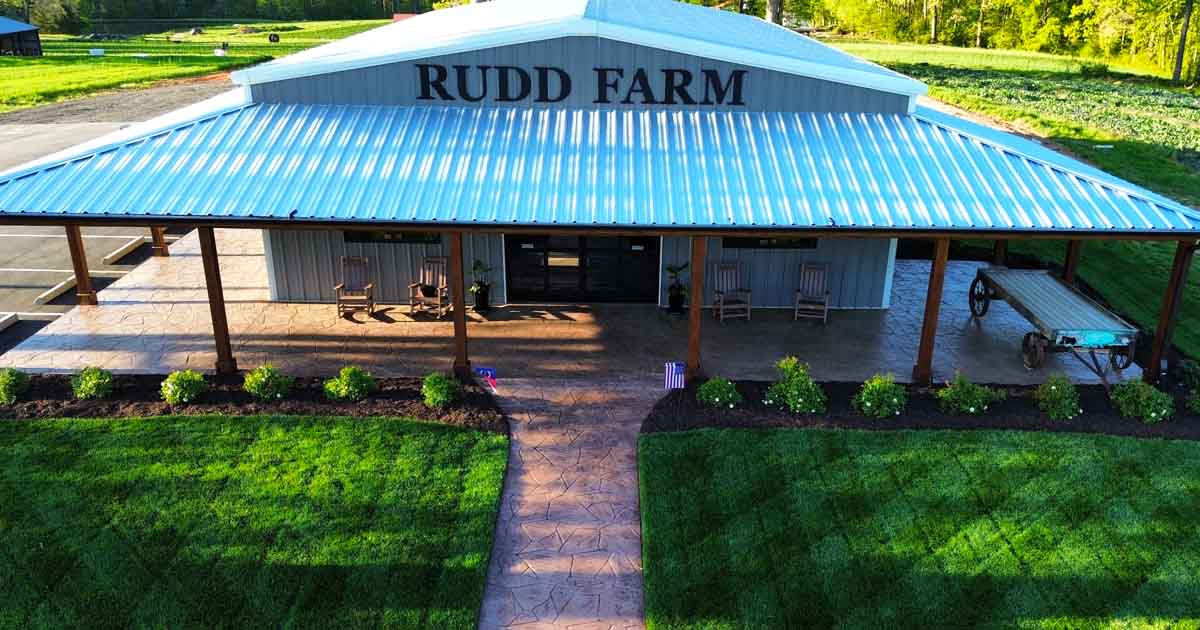 Load Up The Car And Visit This Incredible Pick-Your-Own Strawberry Farm ...