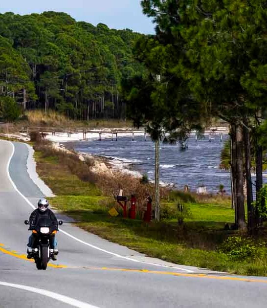 stunning backroads florida sunshine ftr