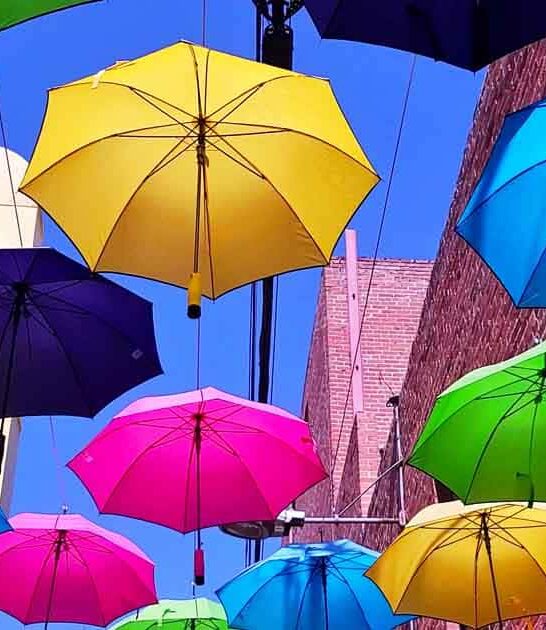stunning california umbrella alley ftr