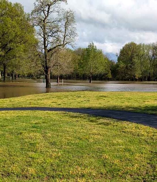 stunning century missouri park ftr