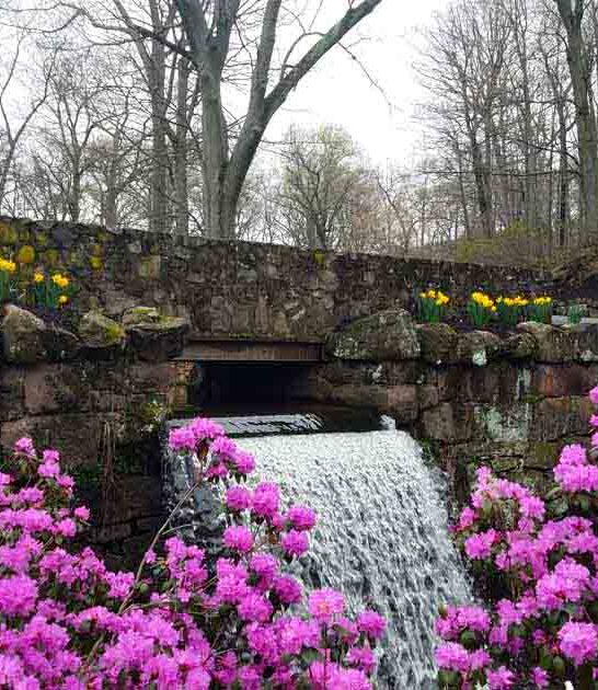 stunning flower parks connecticut ftr