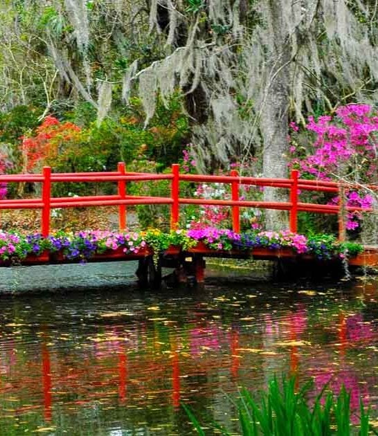 stunning gardens south carolina ftr