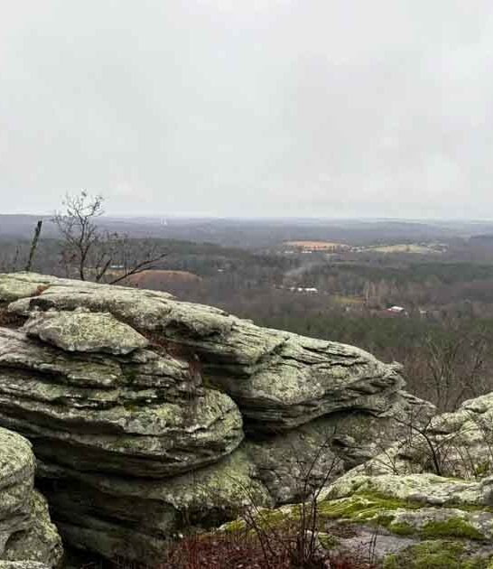 The Stunning Illinois Trail That Leads To A Secret Overlook Most People Don’t Know About