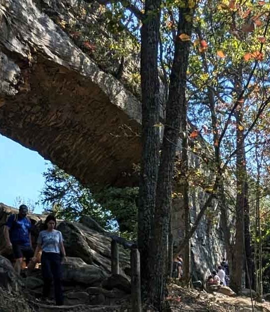 stunning mini arch kentucky ftr