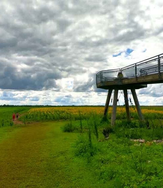 stunning missouri park ftr