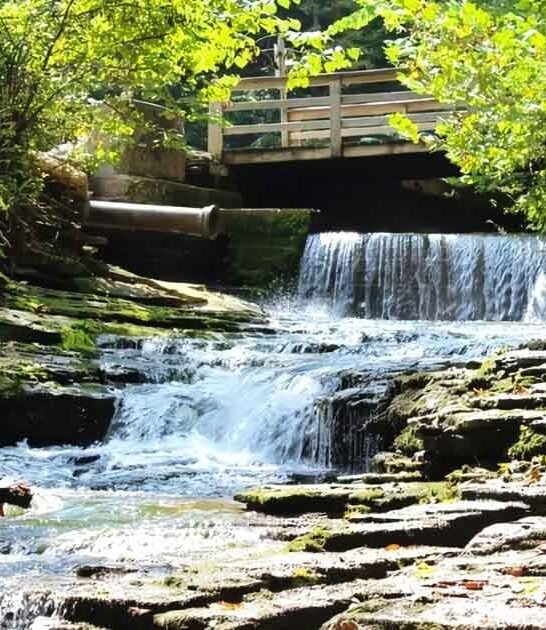 stunning natural spring kentucky ftr