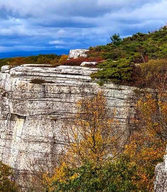 stunning new york preserve ftr