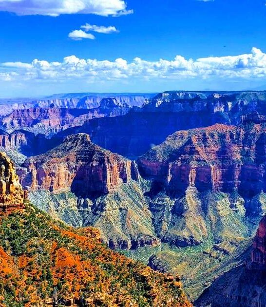 stunning spots arizona ftr