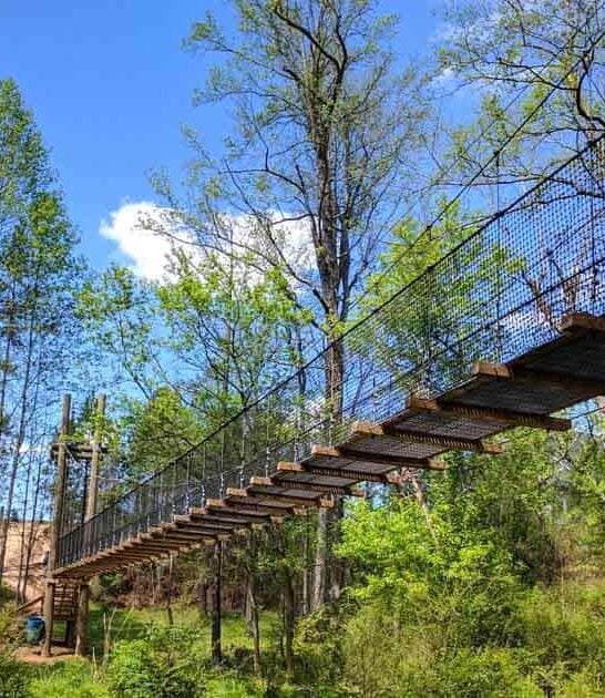 suspension bridge south carolina ftr