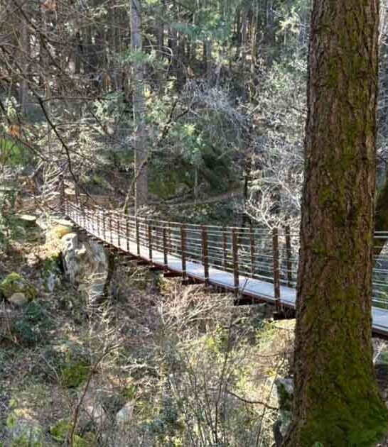 suspension bridge trail california ftr