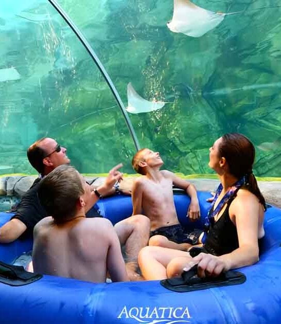 texas magical aquarium ride ftr