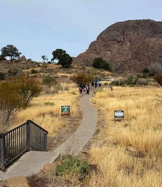 texas overlook mountain trail ftr