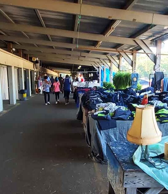 thrift shopping alabama market ftr
