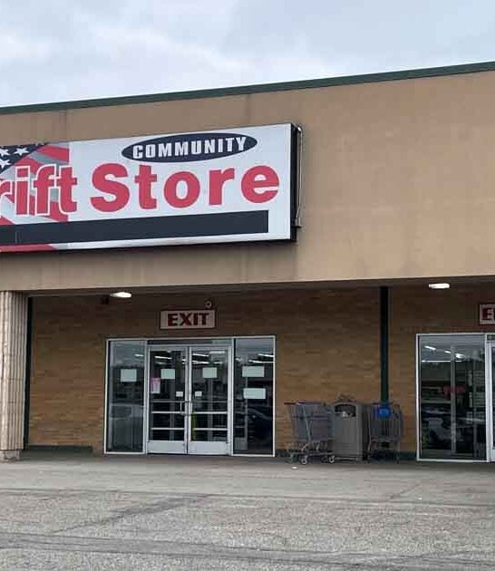 thrift store paradise michigan ftr